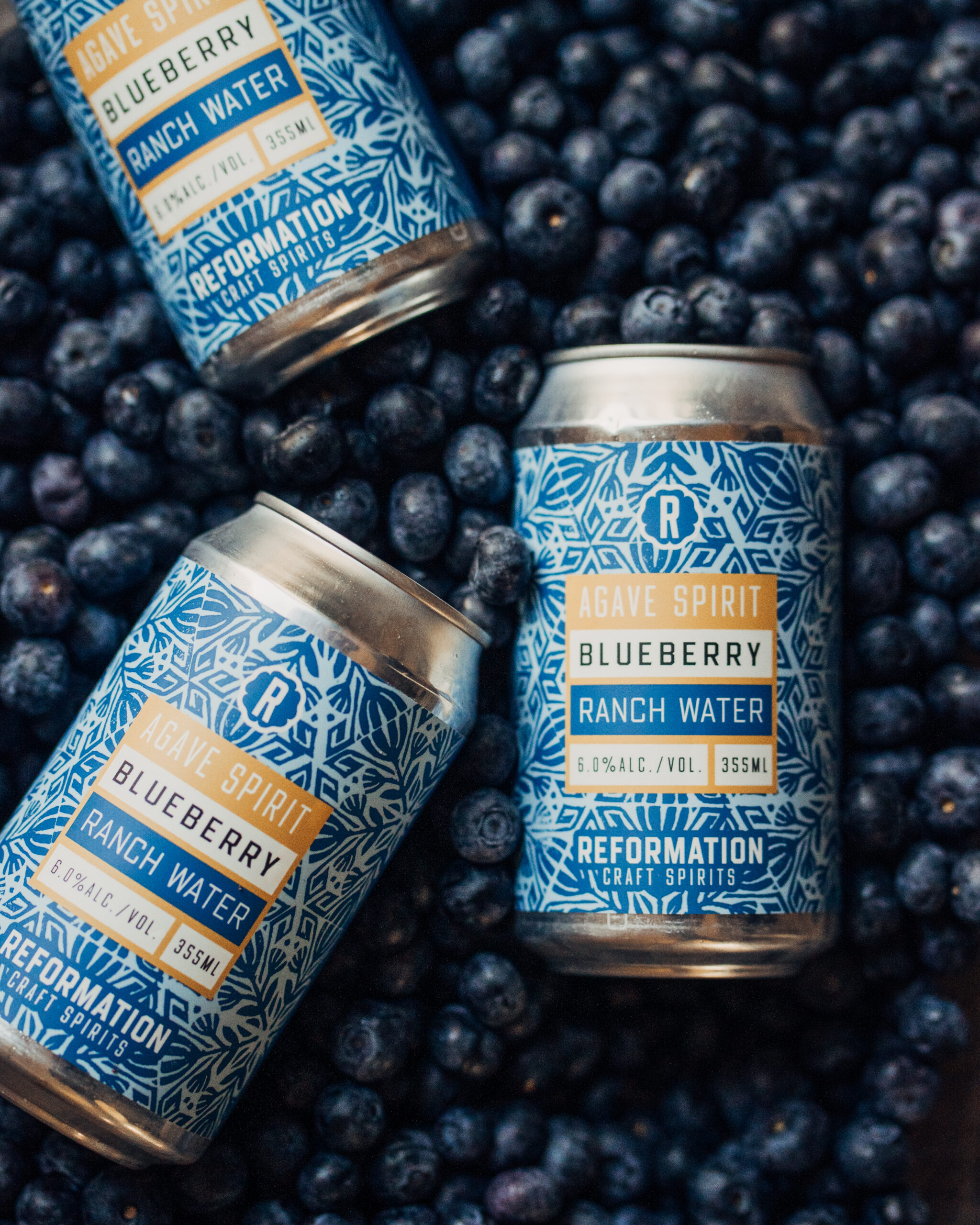 Blueberry Ranch Water now available in 4pks - Reformation Brewery